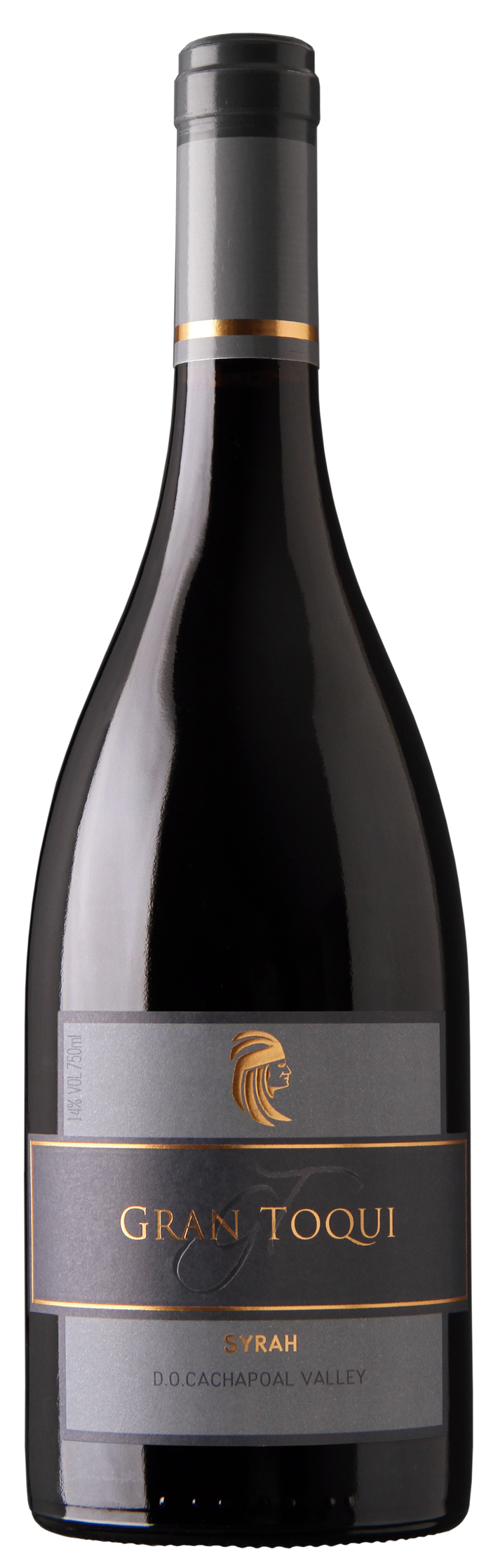 Casas Del Toqui Gran Toqui Syrah from Chile - Winner of Silver medal at ...